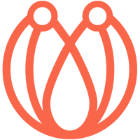 ©2024 Decorum Medical Innovations, LLC